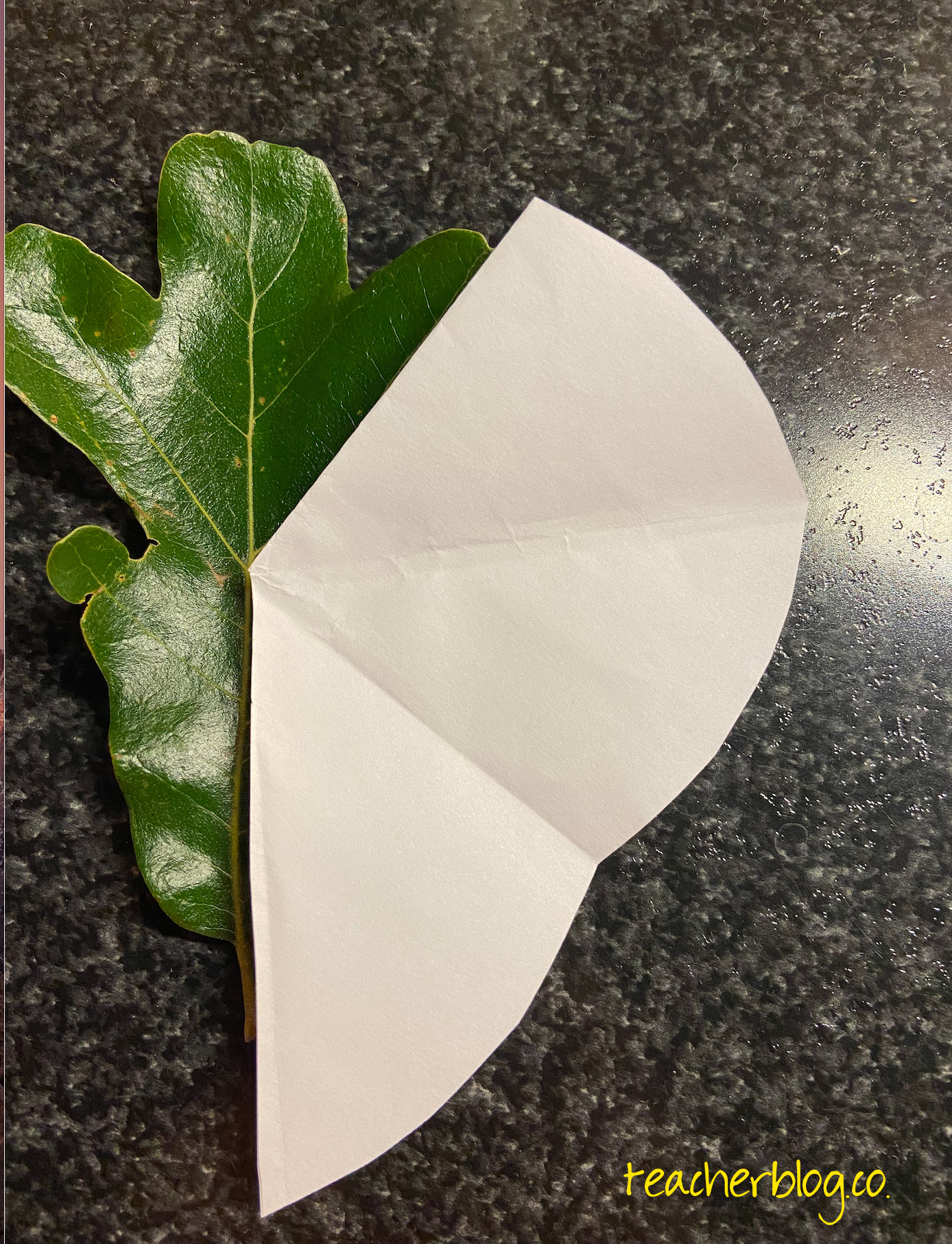 Get Outdoors to Teach Angles! | Teacher Blog Spot