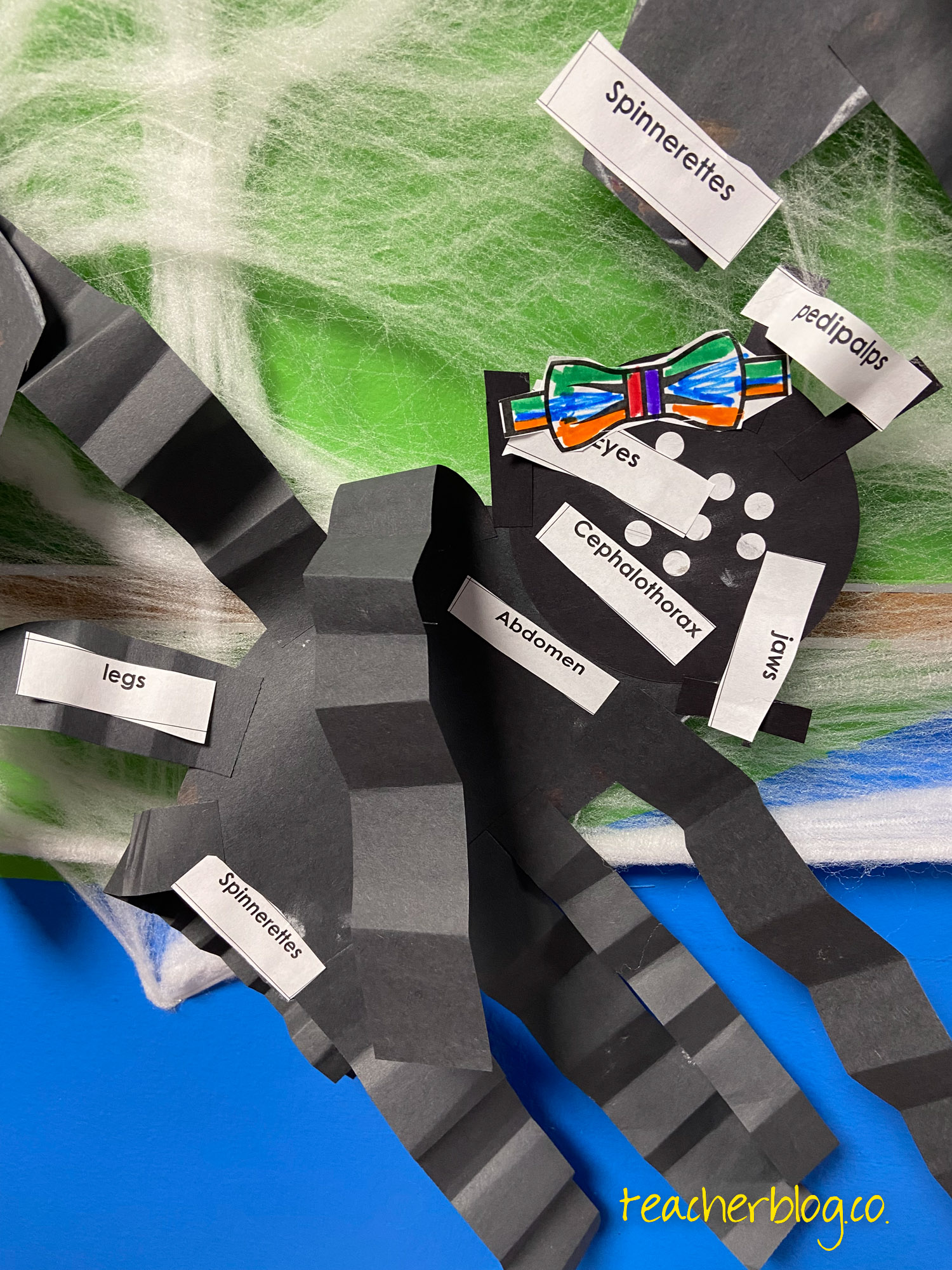 My Favorite First Grade Spider Lessons… | Teacher Blog Spot